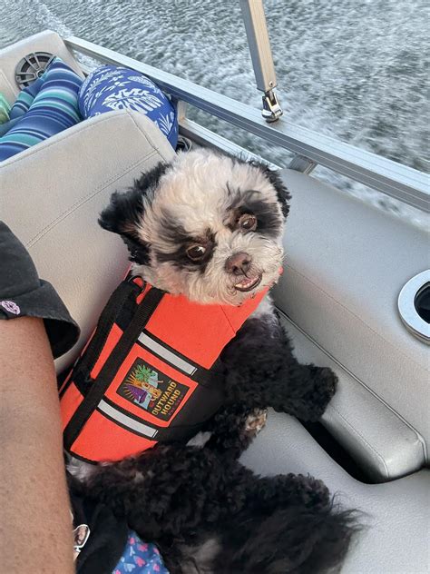 Tripp Halstead Updates Added A Tripp Halstead Updates