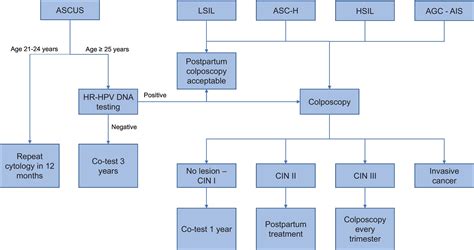 Gynecologic Cancer In Pregnancy Gynecologic Oncology