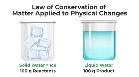 Conservation Of Mass Diagram Carbon Cycle Law Of Conservation Of
