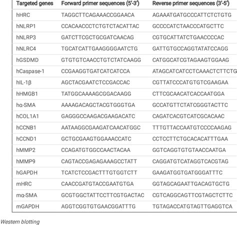 Primer Sequences Used For This Study Download Scientific Diagram