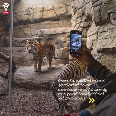 301 Moved Permanently