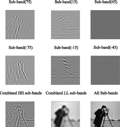 Figure 5 From Svd Based Digital Image Watermarking Using Complex Wavelet Transform Semantic