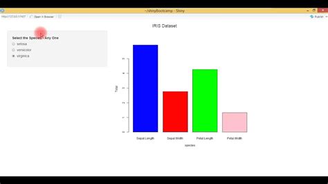 R Shiny Widget Radio 5 Youtube
