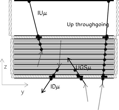 Vertical Cross Section Of The Detector And Sketch Of Different Event Download Scientific