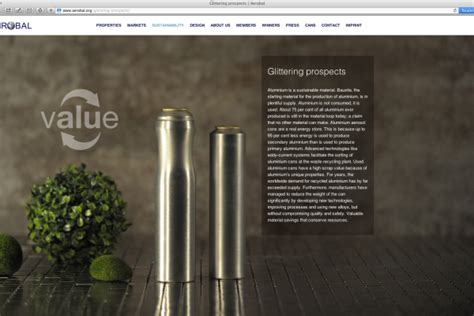 New Look AEROBAL Website CanTech International