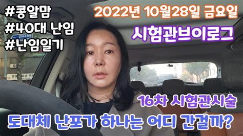 시험관브이로그 16차시험관시술 도대체 난포가 하나는 어디 간걸까 Youtube