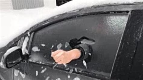 Новая рабочая неделя начнется в Москве и области Вкратце Москва