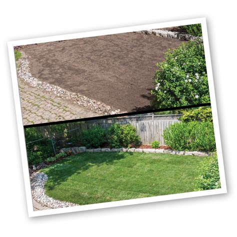 Sod Patching Red Hen Turf Farm