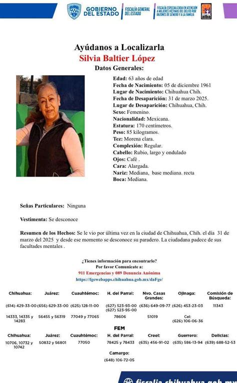 Desaparece En La Ciudad Silvia Baltier López El Bordo