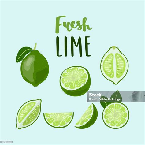 Abaw 레터링으로 전체와 슬라이스 라임의 집합입니다 밝은 녹색 감귤 류 벡터 일러스트입니다 라임에 대한 스톡 벡터 아트 및