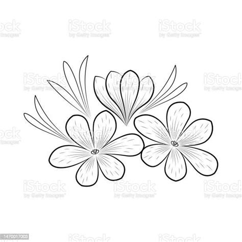 크로커스 또는 사프란 꽃 꽃 식물 꽃입니다 격리된 그림 요소입니다 벡터 손으로 야생화 그리기 0명에 대한 스톡 벡터 아트 및 기타 이미지 Istock