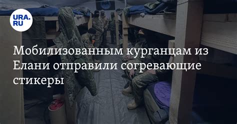 Мобилизованным курганцам отправили согревающие стикеры в Елань фото