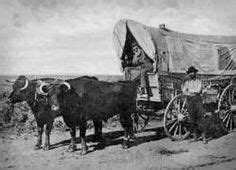 Pioneer Life