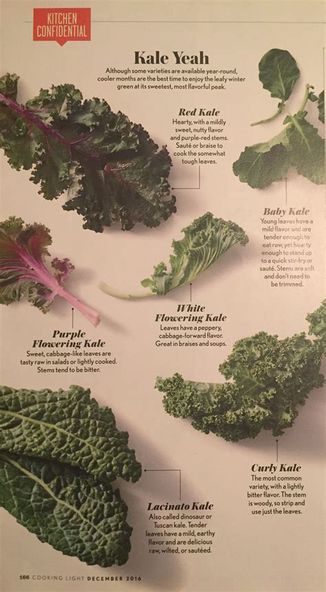 Types Of Kale Chart Interactive Chart Tools