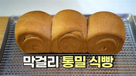 통밀 100 통밀에 막걸리를 부어보세요 고소하고 촉촉한 막걸리 통밀 식빵 Youtube