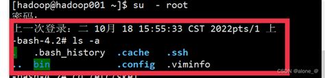 【linux系统root用户登录后显示 “ Bash 42” 解决方案 】 Csdn博客