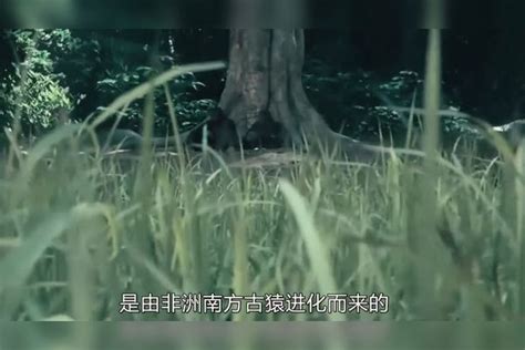 专家质疑达尔文推翻进化论，人类究竟起源于哪里？答案吓到众人