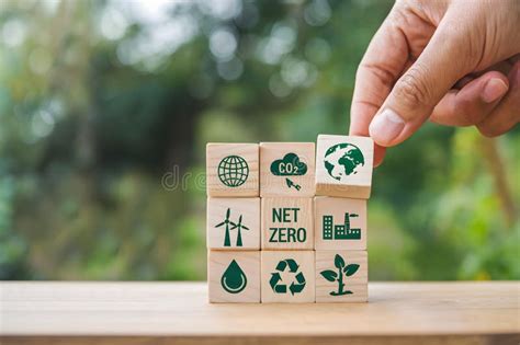 Sustainable Development Goals Net Zero Carbon Footprint Green Energy