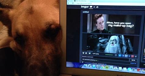 Ajax Does This Every Time I Am On Imgur Imgur