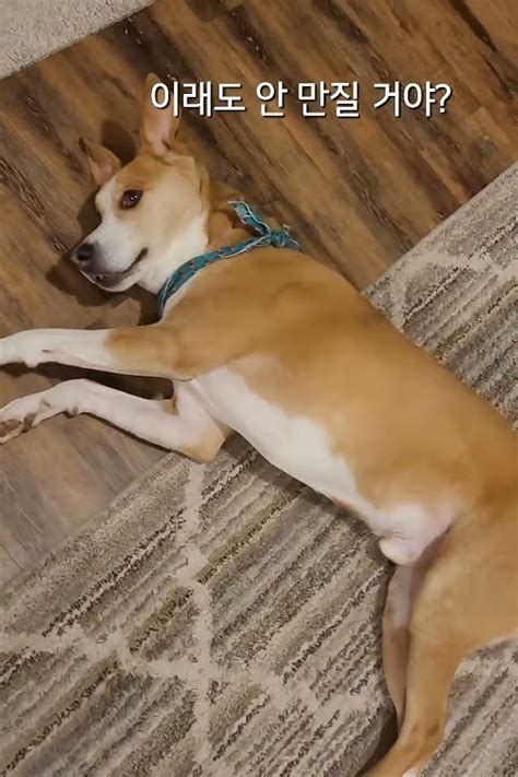 사랑받고싶어요 케빈 💕 Youtube