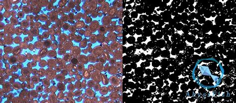 Af多尺度孔隙处理软件2d 多孔介质材料建模 Af多尺度孔隙处理2d Csdn博客