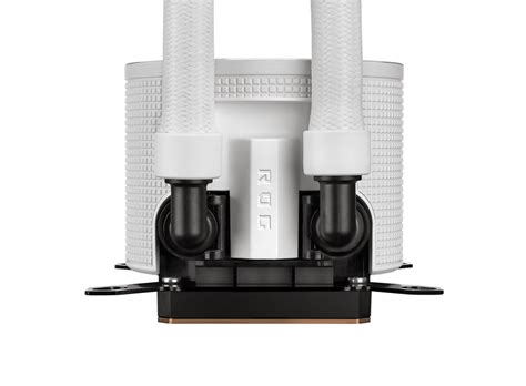 Rog Ryuo Iii 240 Argb White Edition Cooling Rog Egypt