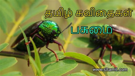 தமிழ் கவிதைகள் பசுமை Tamil Kavithai Pasumai நேயர் பக்கம்