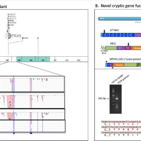Novel Rna Variants Identified At Time Of Diagnosis A An Aberrant Rna