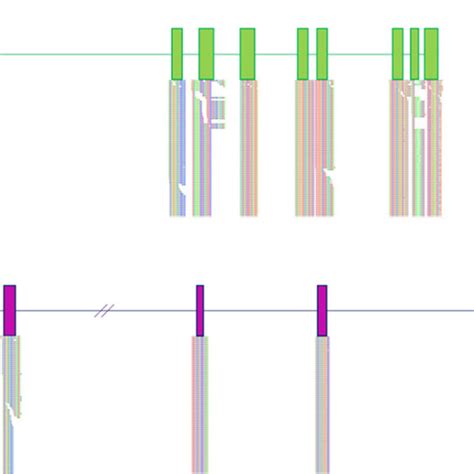 SW480 Produced Exosomes Carried Whole TP53 And KRAS Genes Aligned