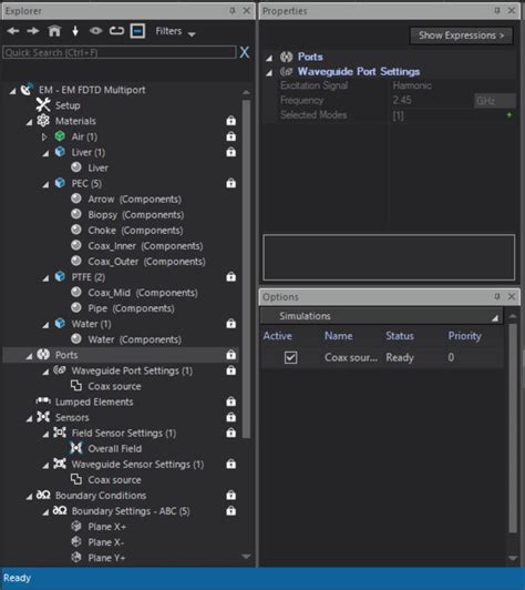 Error Fdtd Multiport When Writing Input File Zmt Zurich Med Tech