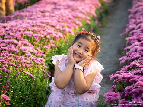 สาวน้อยน่ารักสดใสในสวนดอกไม้สีชมพู รูปภาพเด็กน่ารัก