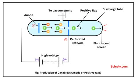 What Are Canal Rays Discovery Properties Scienly