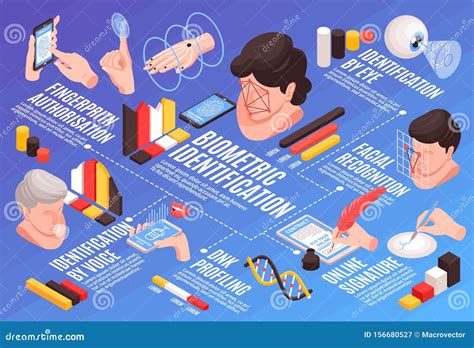 Isometric Biometrics Infographic Flowchart Stock Vector Illustration Of Decorative Access