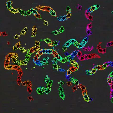 Rainbow Arrows Art Programming Creativecoding Openframeworks Youtube