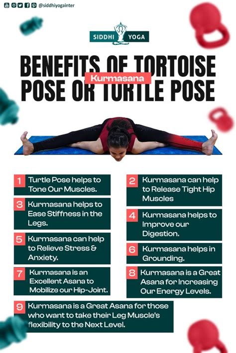 Kurmasana Tortoise Pose Benefits And How To Do