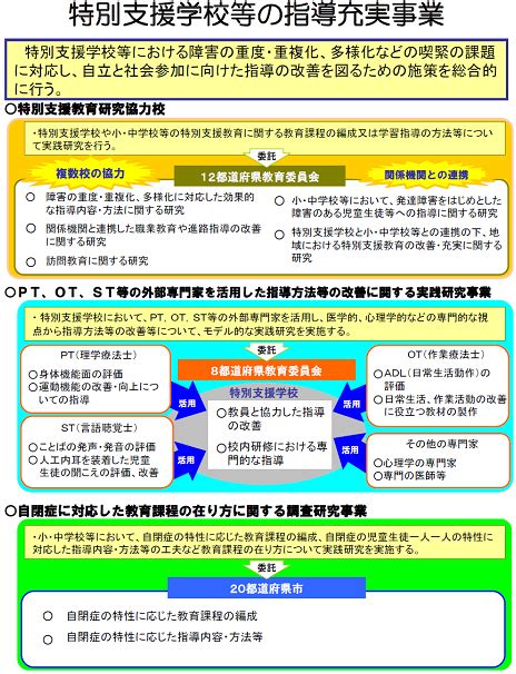 46．特別支援学校等における指導充実事業（拡充）【達成目標2－11－2】：文部科学省