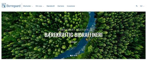 Kjøpe Borregaard Aksjer 2026 Lær Om Borregaard Utbytte