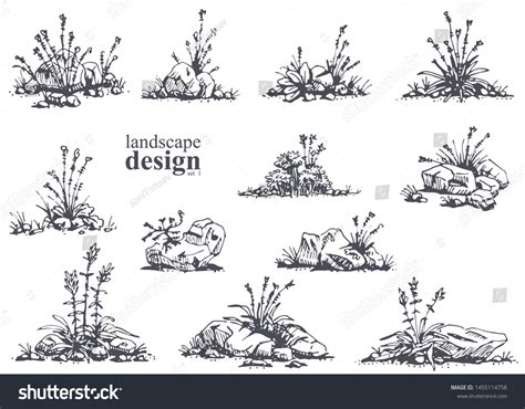 114 805 Bush Drawing Images Stock Photos Vectors Shutterstock