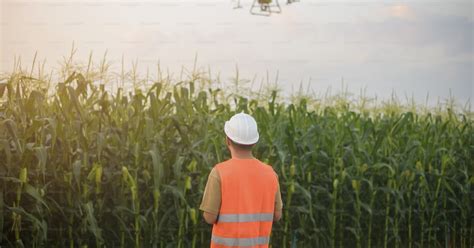 농지에 비료와 살충제를 뿌리는 드론을 제어하는 남성 엔지니어 첨단 기술 혁신 및 스마트 농업 사진 Unsplash의 작물 식물 이미지