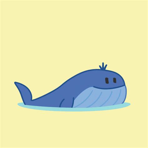 Cutewhale S Find And Share On Giphy