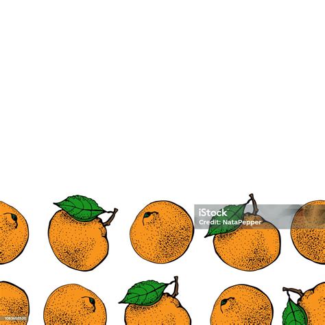 잉크와 벡터 원활한 패턴 손으로 그려진된 감귤 류 과일 조각 하 고 나뭇잎 스케치 만다린 오렌지 귤 흰색 배경에 고립 채식 음식 그림을 자세한 0명에 대한 스톡 벡터 아트