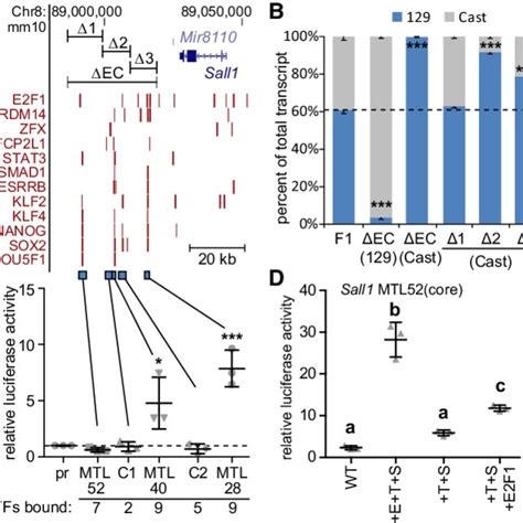 Addition Of Three Different Transcription Factor Binding Sequences Download Scientific Diagram