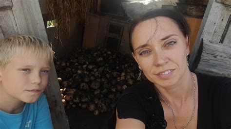 Копаем картошку Урожай отменный Youtube