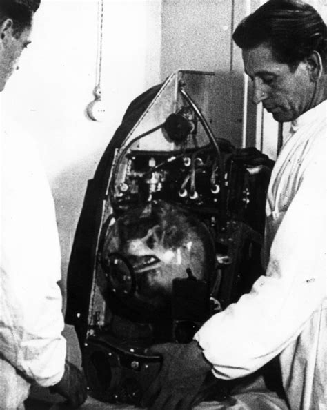 La Terrible Historia De Laika La Perra Que Los Rusos Mandaron Al