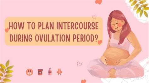 How To Plan Intercourse During Ovulation Period YouTube