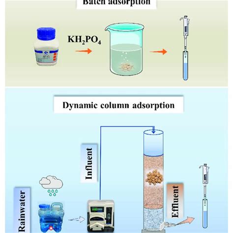 Schematic Of The Batch Adsorption And Column Experiment Download