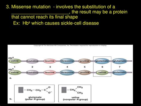 DNA The Genetic Material Ppt Download
