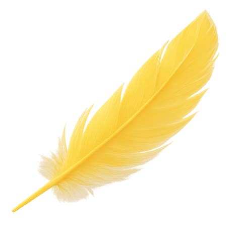 Feather Guess Free Bird Identification Game Learn 600 Species