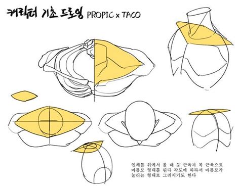 Media Tweets By 타코작가 Taco1704 Twitter Anatomy Art Drawing Reference Drawing Tutorial