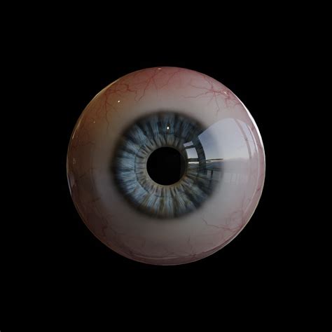 Realistic Eye Editable Model Turbosquid 2068193